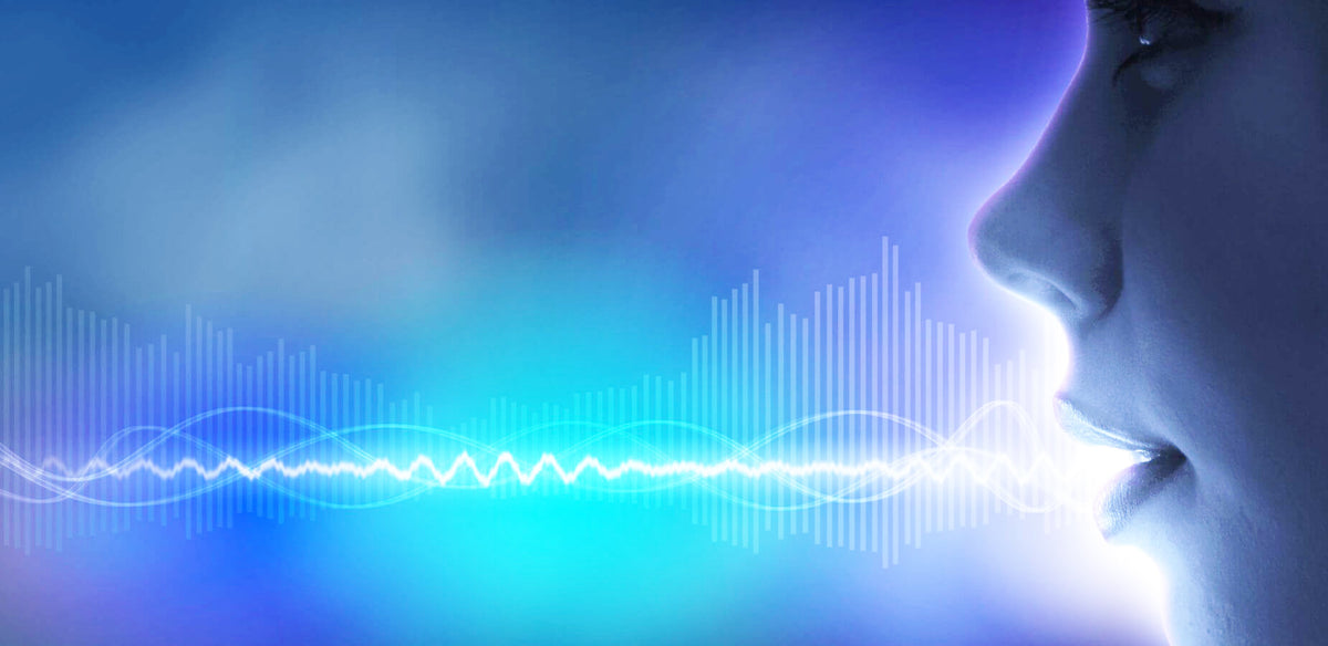 Exploring the Fascinating World of Bioacoustics and Voice Analysis