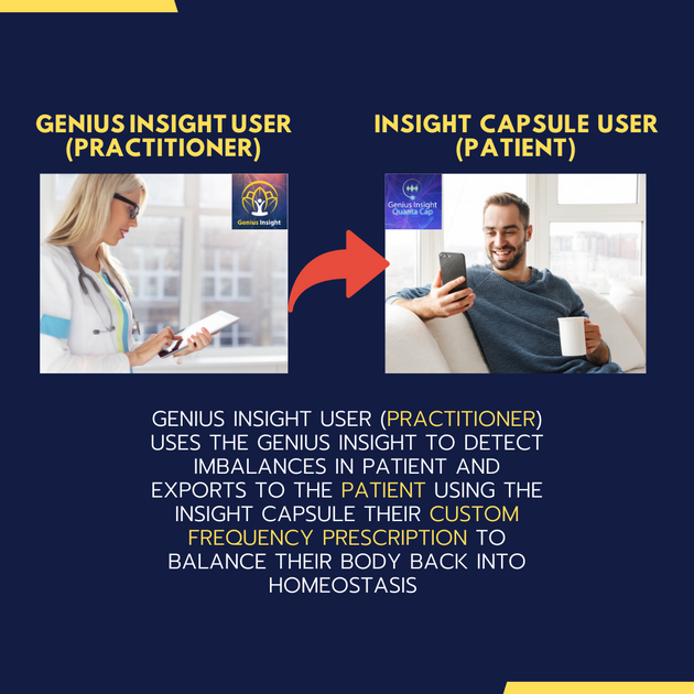 Harmony Between Genius Insight App & Insight Quanta Capsule