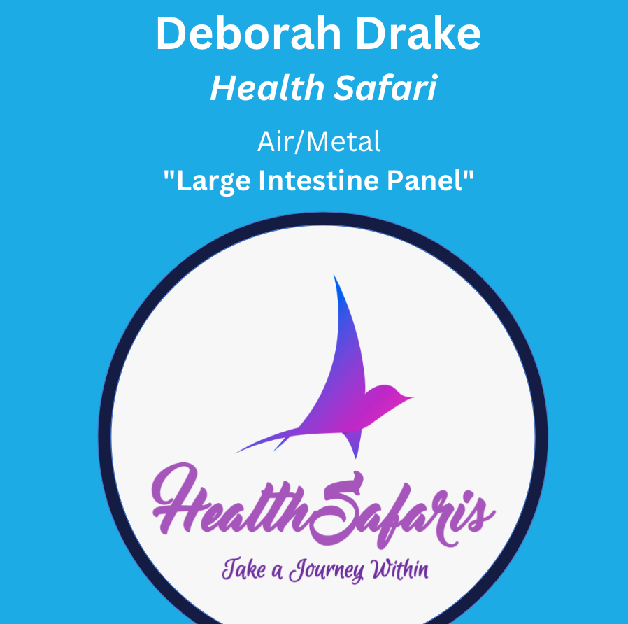 Deborah Drake Health Safari : Air/Metal - Large Intestine | INSIGHT ...