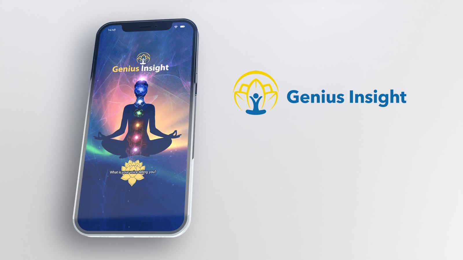 $99 Down. 12 months to pay. Genius Insight Monthly Specials | INSIGHT ...