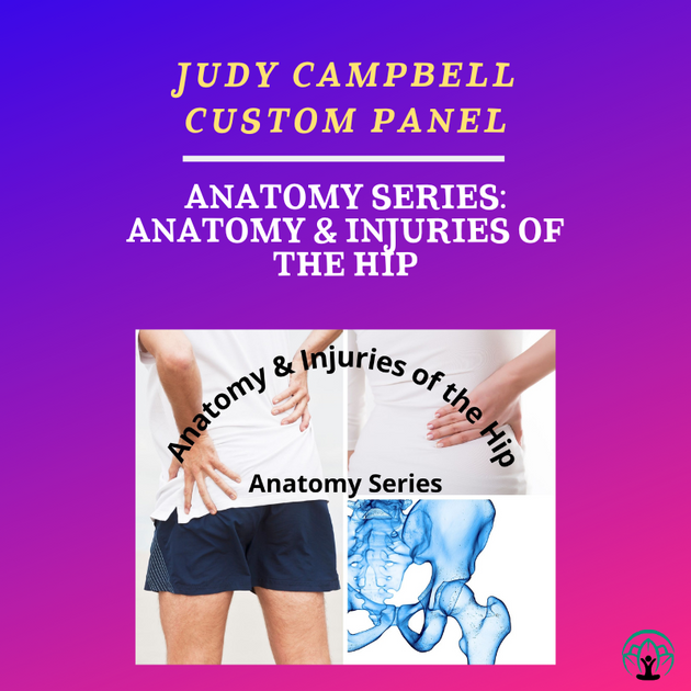 Skeletal/Bones/Muscle Custom Panel Collection Series | INSIGHT HEALTH APPS