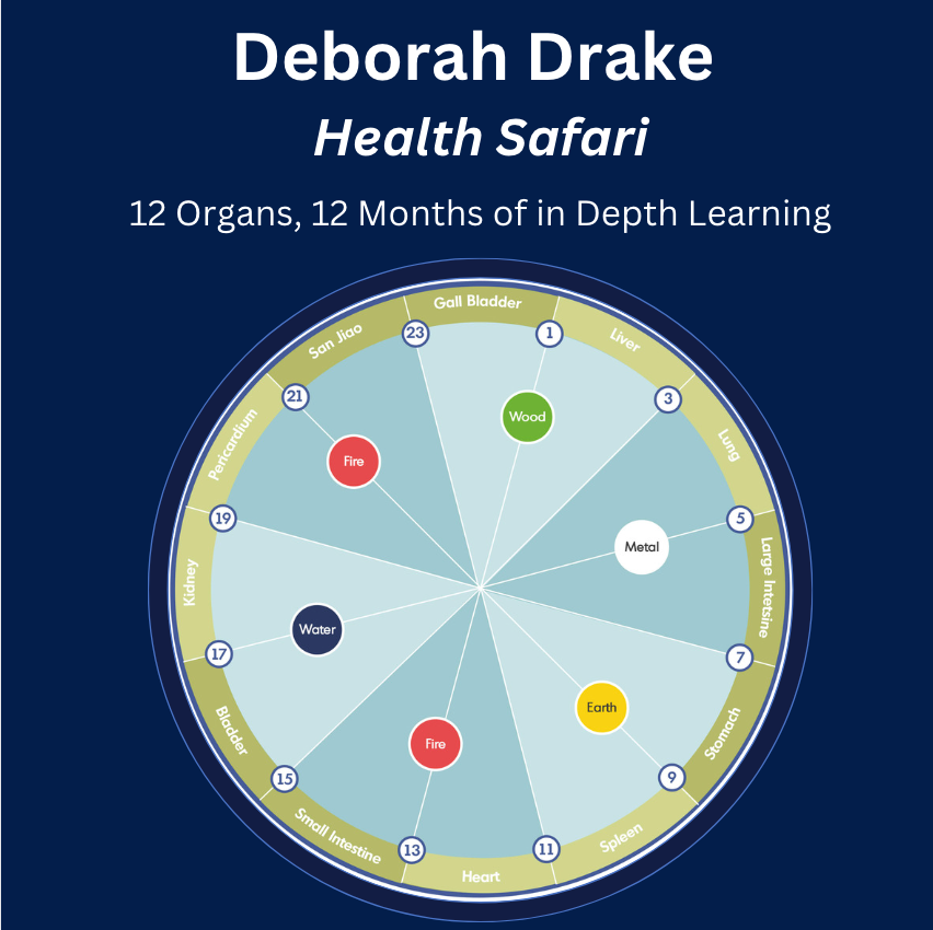 Deborah Drake Health Safari - Wood in Spring GallBladder Customized ...